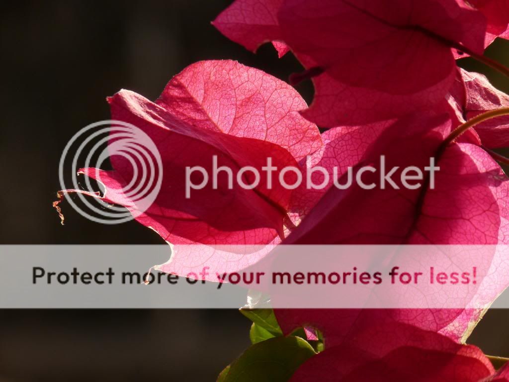 "Now and then it is good to pause";Translation exercise;All levels ...