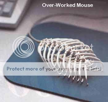 La Palabra del Día: Temprano | SpanishDictionary.com Answers