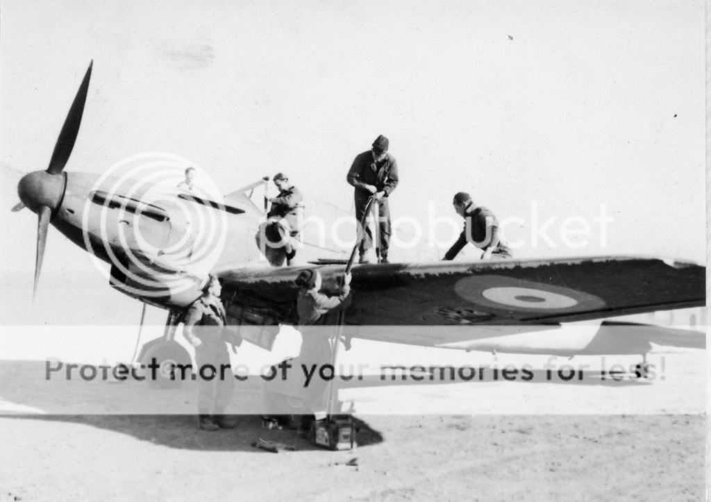 889 Squadron Fulmar - Desert Scheme? - Aircraft WWII - Britmodeller.com