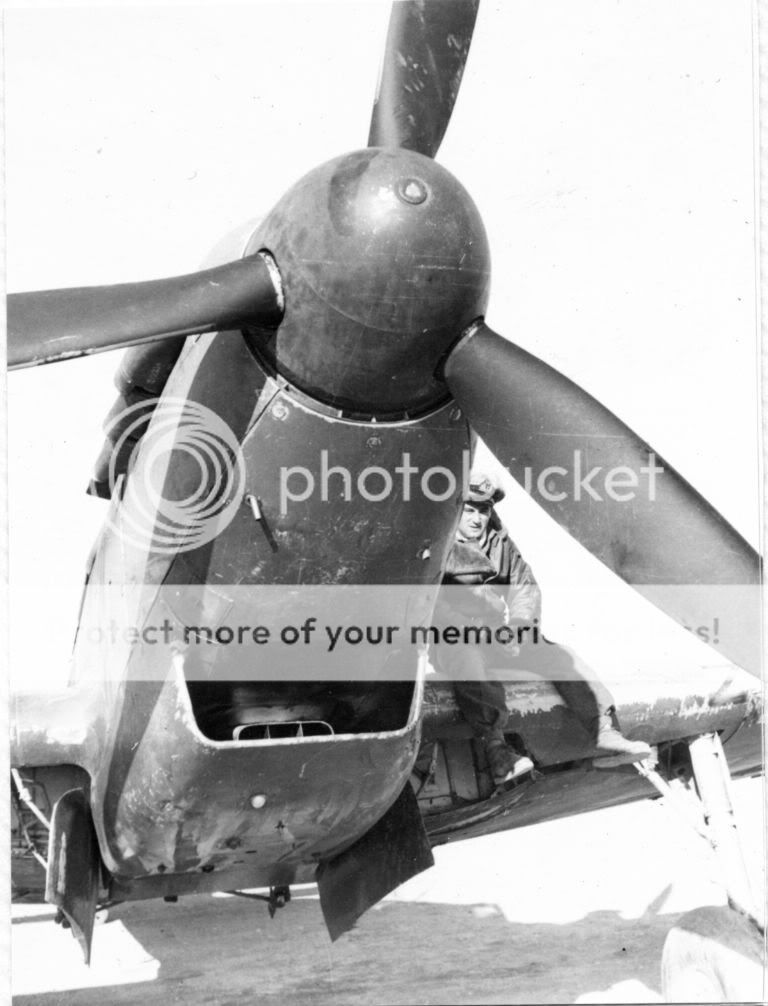 889 Squadron Fulmar - Desert Scheme? - Aircraft WWII - Britmodeller.com