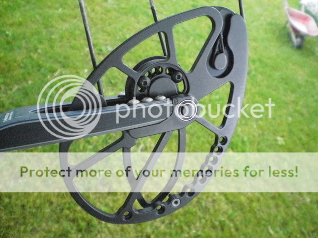 Diamond Dead Eye | Archery Talk Forum