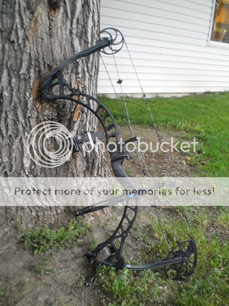 Diamond Dead Eye | Archery Talk Forum