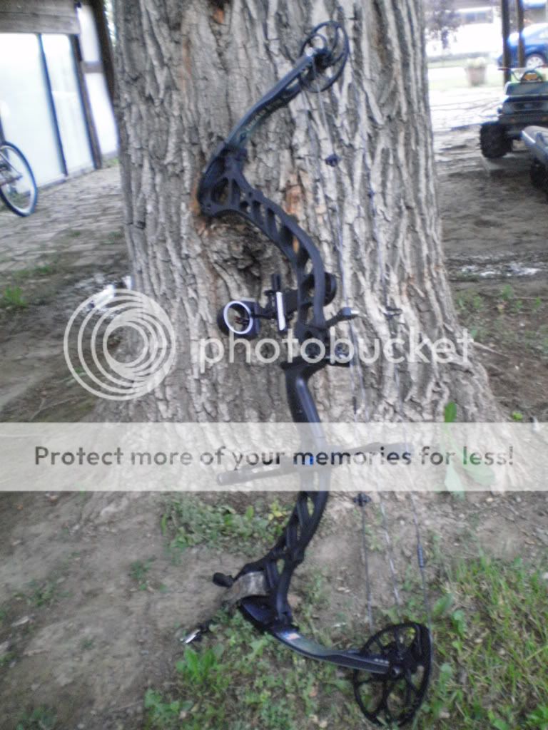 Diamond Dead Eye | Archery Talk Forum