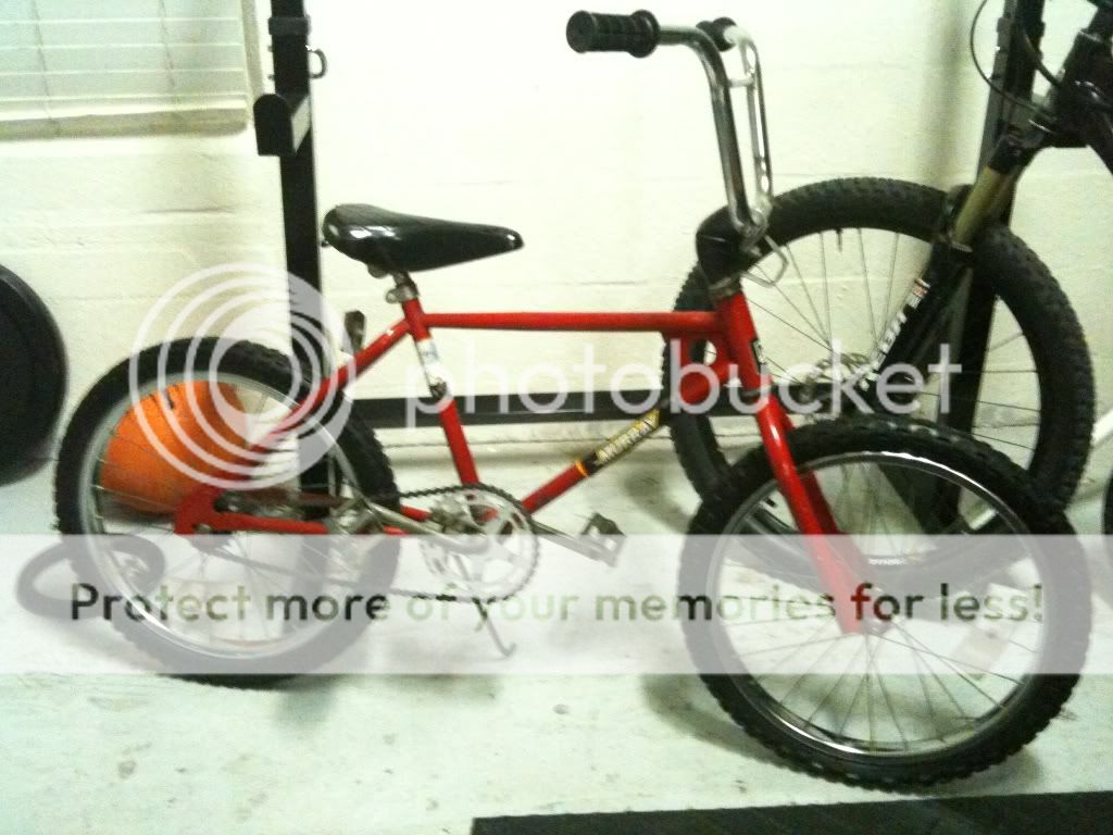 My first bike: 1984 Murray w/ US Olympics sticker - BMXmuseum.com Forums